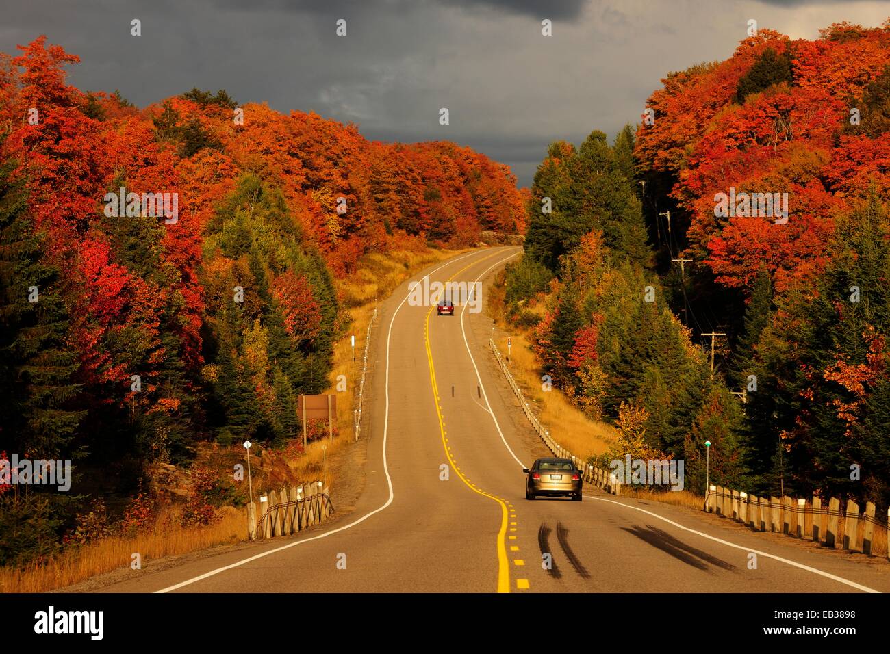 Canadian forest hi-res stock photography and images - Alamy