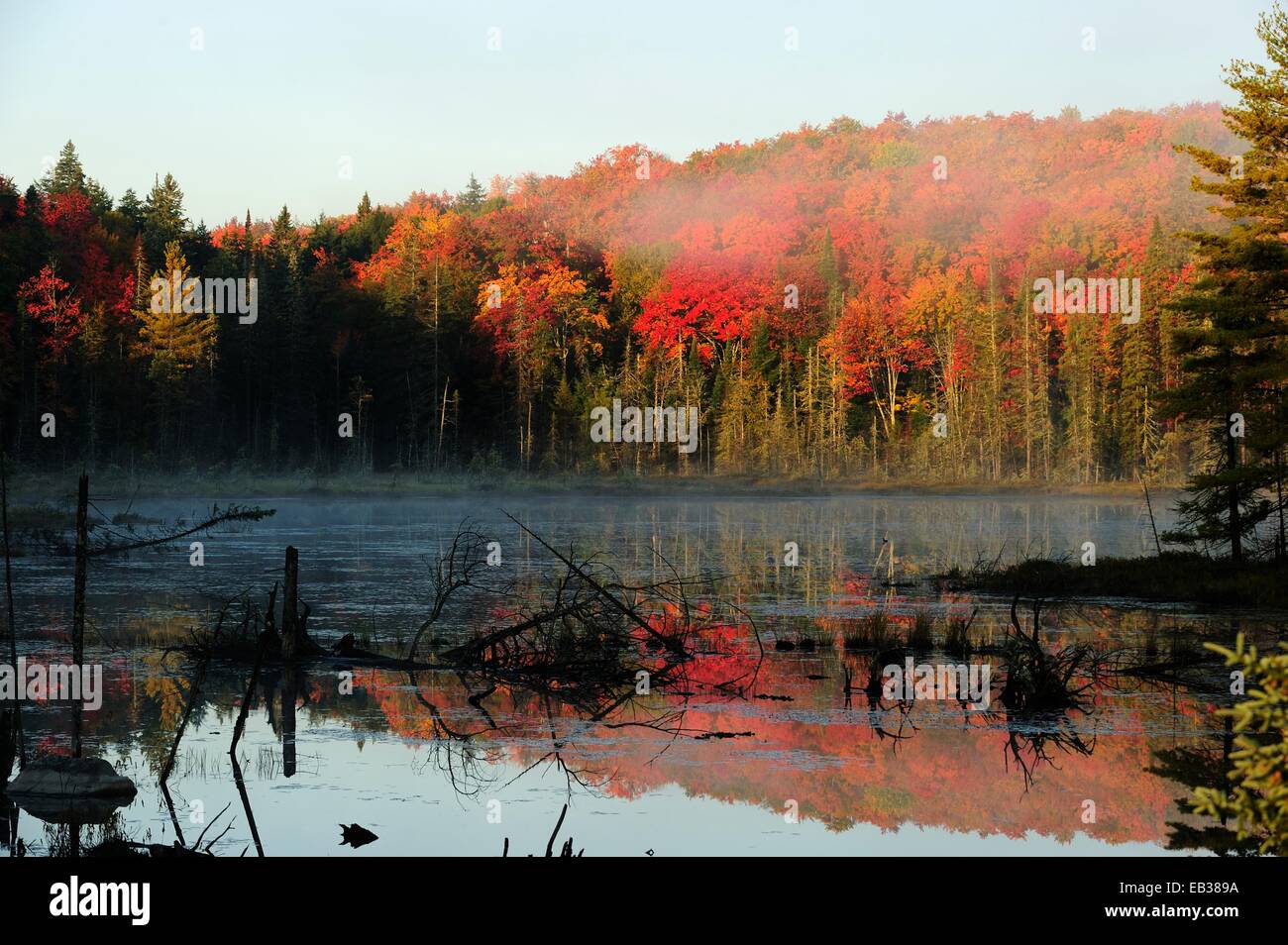 Early morning mist rising from a small pond above a colourful autumnal ...