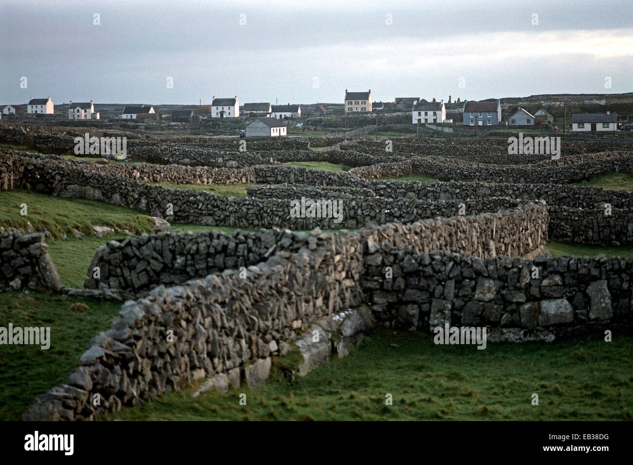 Stone walls on inishmore aran hi-res stock photography and images - Alamy