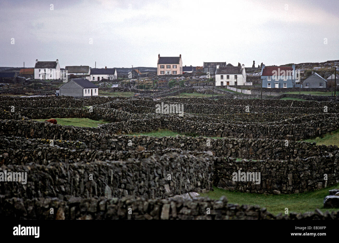 Stone walls on inishmore aran hi-res stock photography and images - Alamy