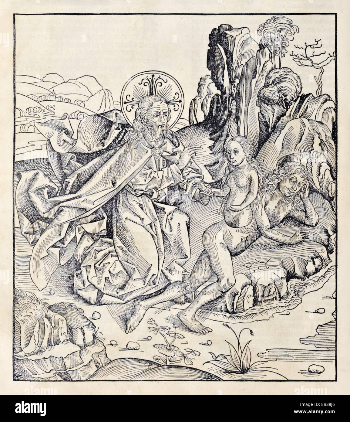 6th day of creation genesis hi-res stock photography and images - Alamy