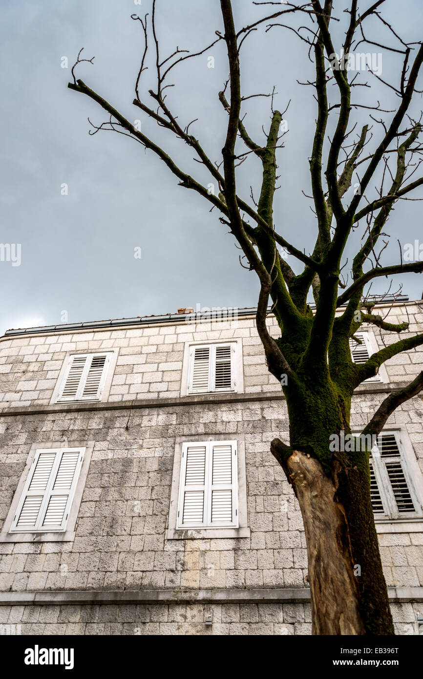 House of the dead hi-res stock photography and images - Alamy