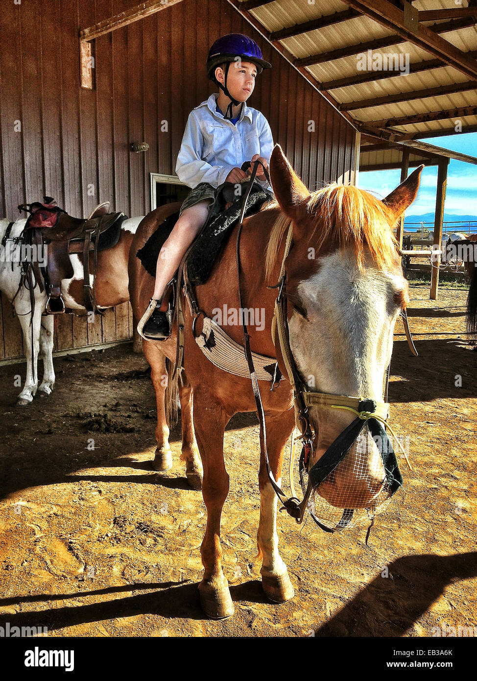 Child ride horse boy helmet hi-res stock photography and images - Alamy