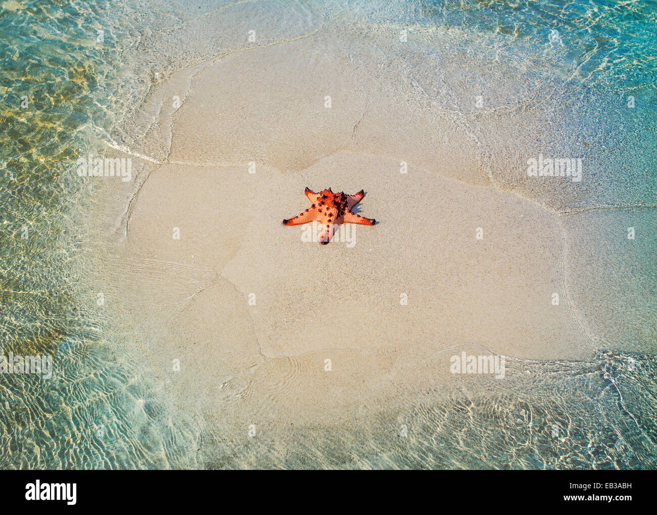 Starfish island hi-res stock photography and images - Alamy