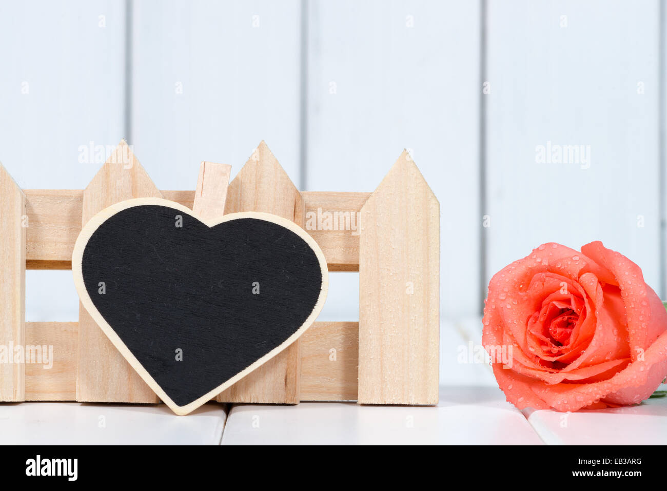 Blank Message board with lilac flower and copy space Stock Photo - Alamy