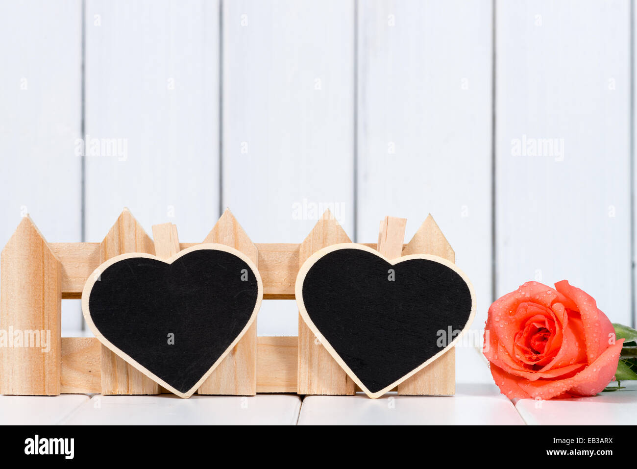 Blank Message board with lilac flower and copy space Stock Photo - Alamy