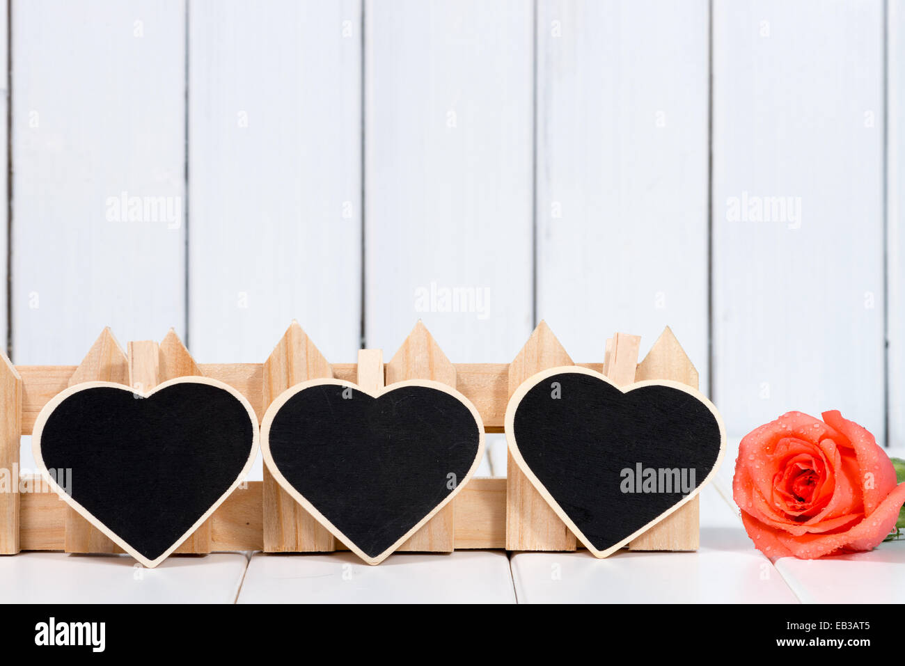 Blank Message board with lilac flower and copy space Stock Photo - Alamy