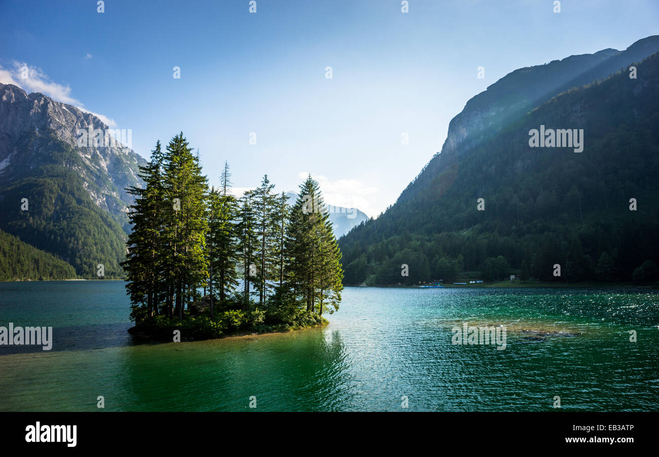 Italy, Trees forming island on mountain lake Stock Photo - Alamy