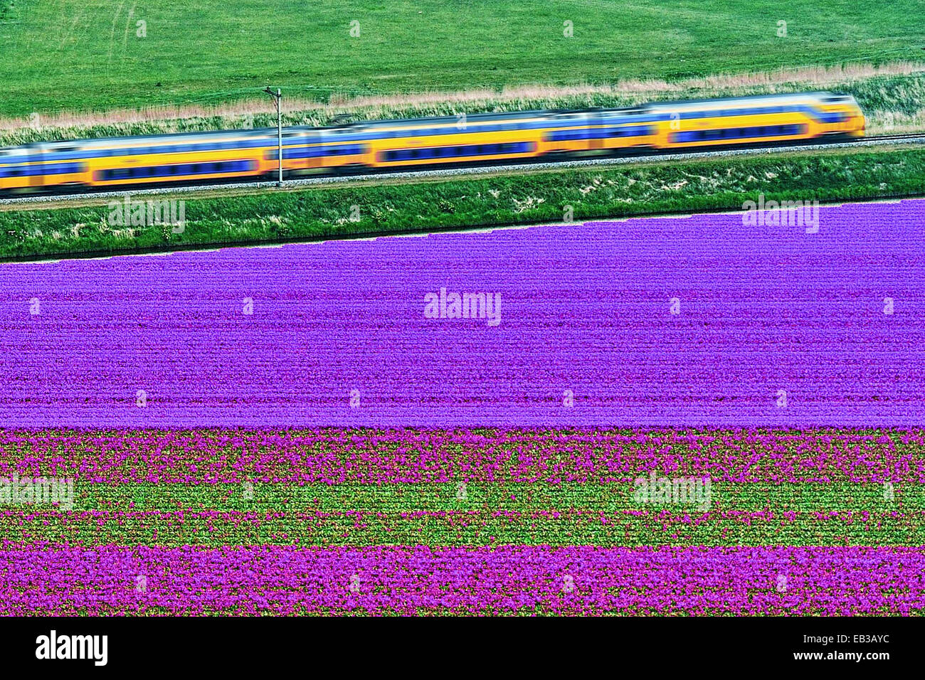 Aerial view train driving on hi-res stock photography and images - Alamy