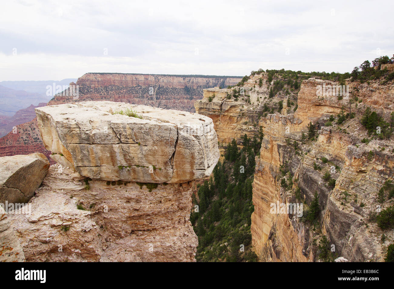 Grand Canyon Ravine Stock Photo - Alamy