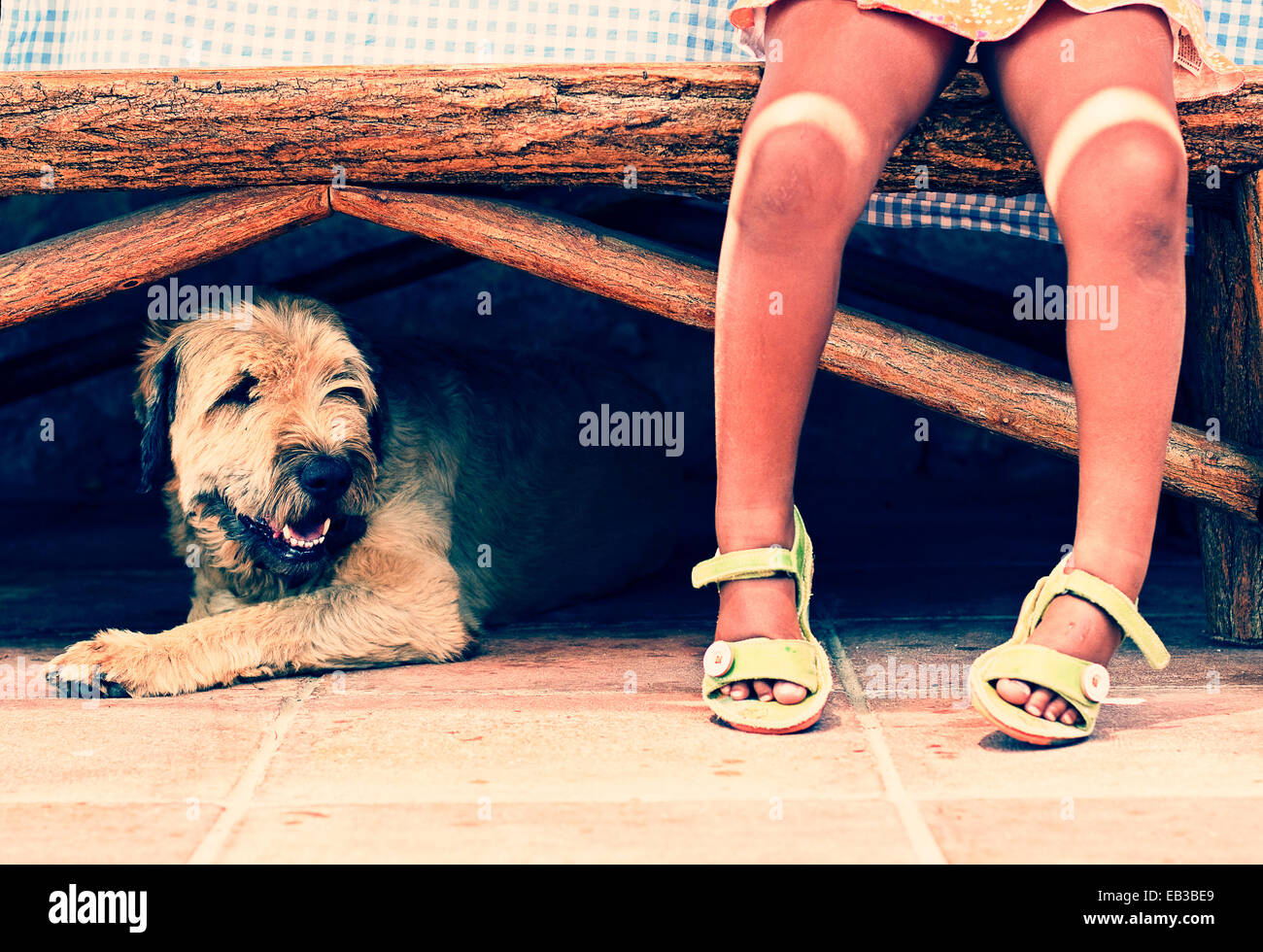 Dog sitting under bench by girl's legs Stock Photo - Alamy