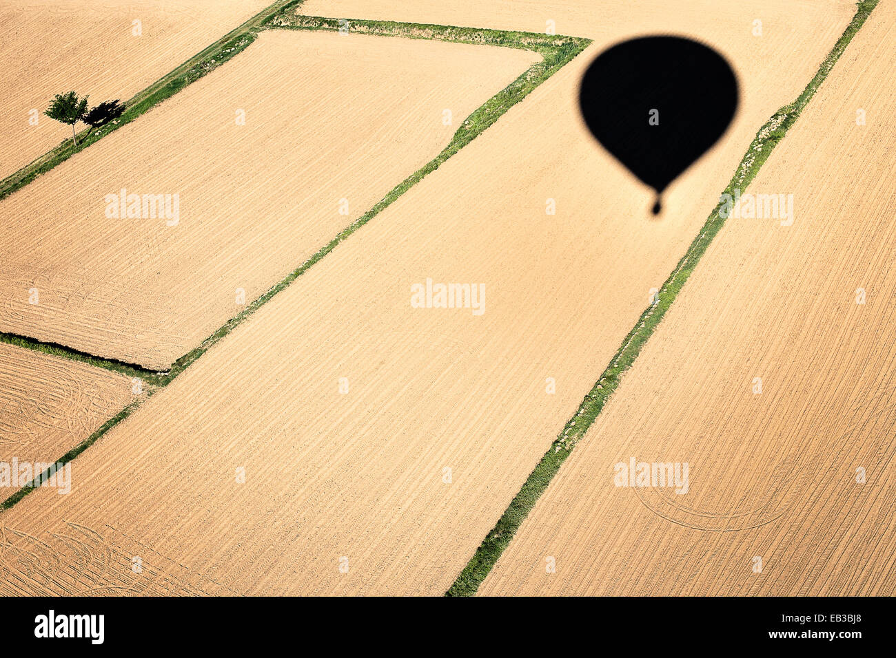 Hot air balloon shadow in fields Stock Photo - Alamy