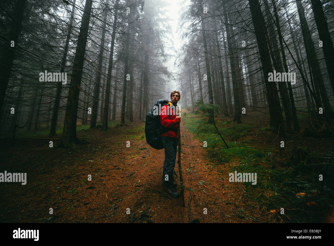Man hiking in forest Stock Photo - Alamy