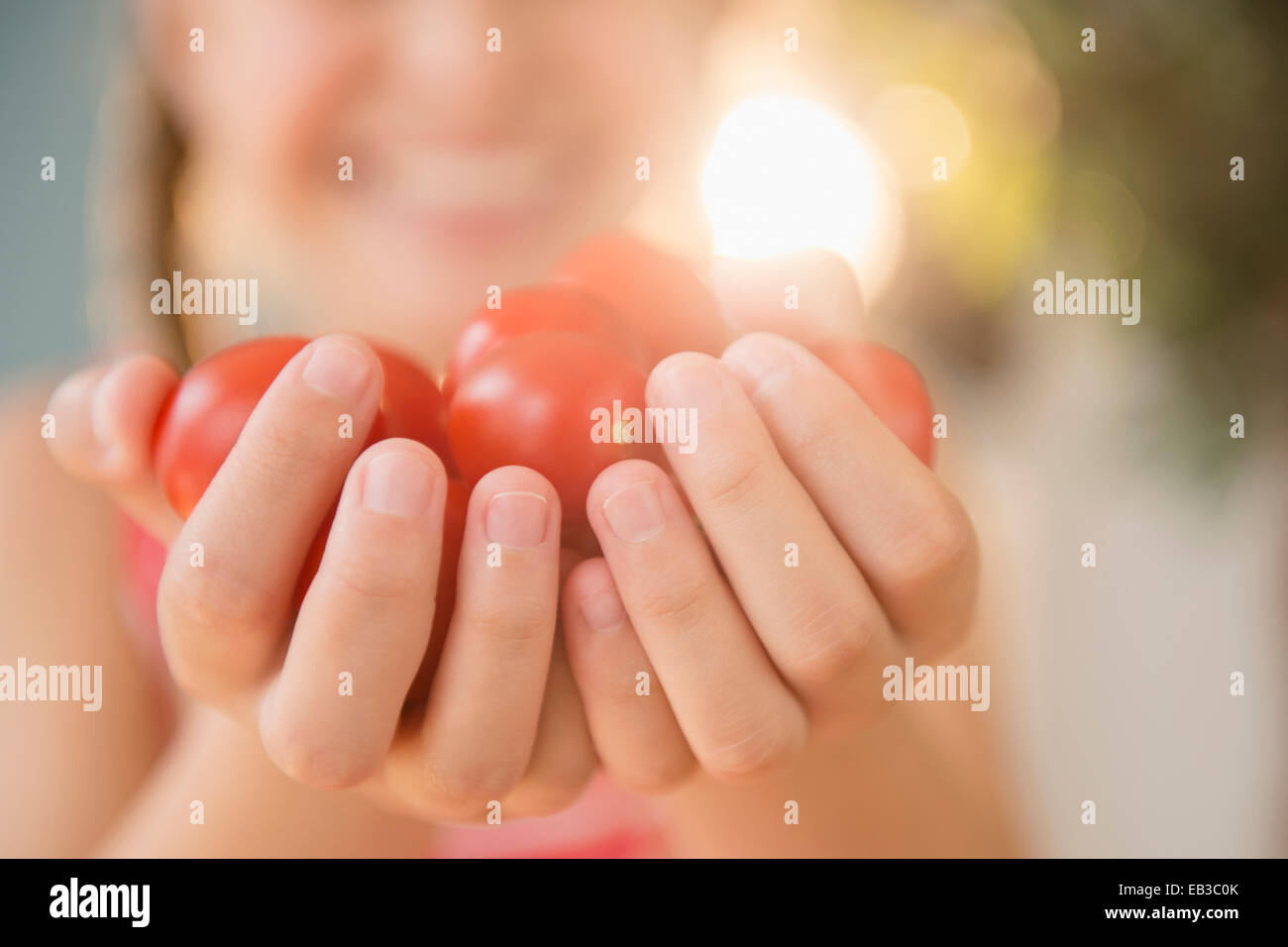 Person holding tomatoes hi-res stock photography and images - Alamy