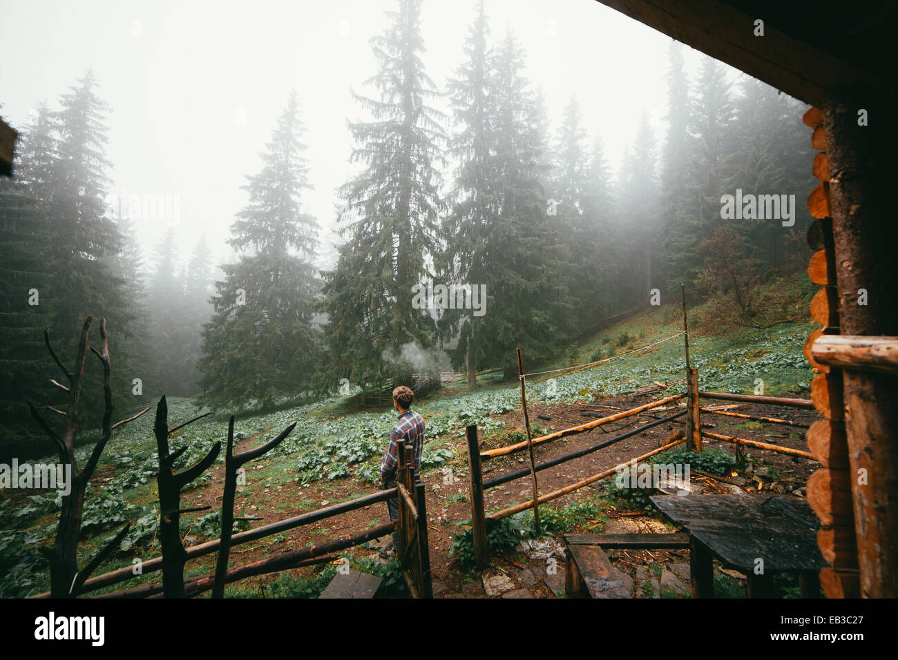 Man standing outside a wooden cabin in the forest Stock Photo - Alamy