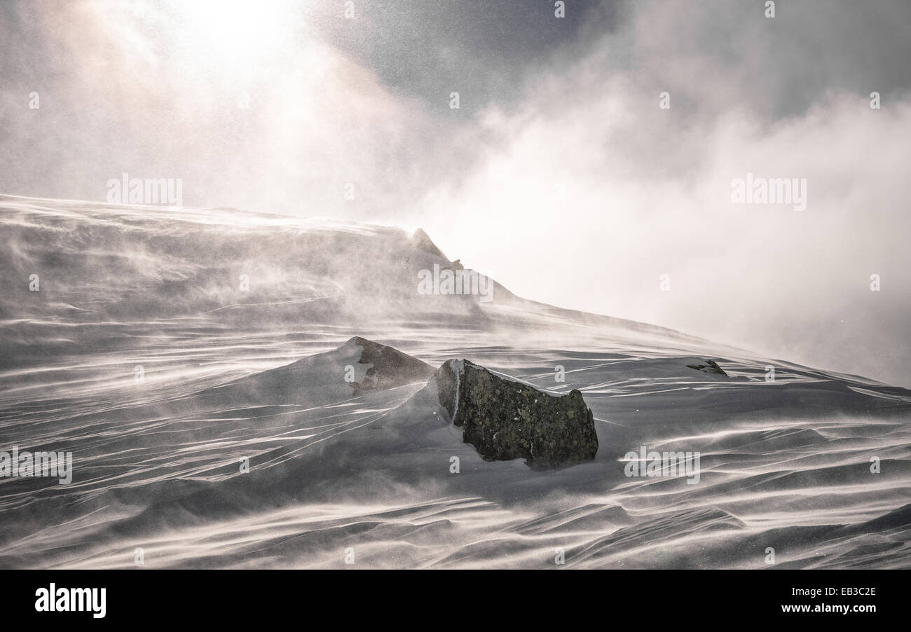 Snow storm in Austrian Alps, Austria Stock Photo - Alamy