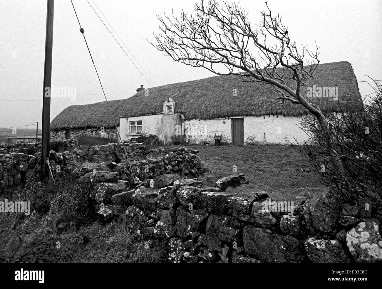 THATCHED COTTAGE ON INISHMORE, ARAN ISLANDS, IRELAND. REFFERED TO BY ...
