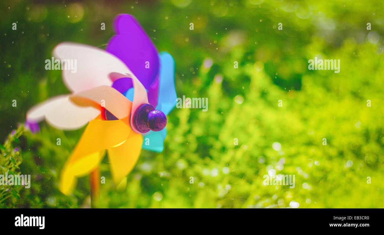 Close-up of a pinwheel in a garden Stock Photo - Alamy