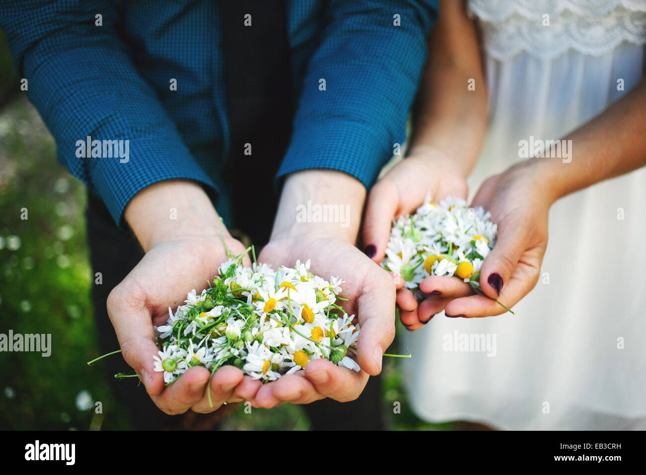Cupped Hands Holding Flowers High Resolution Stock Photography and ...