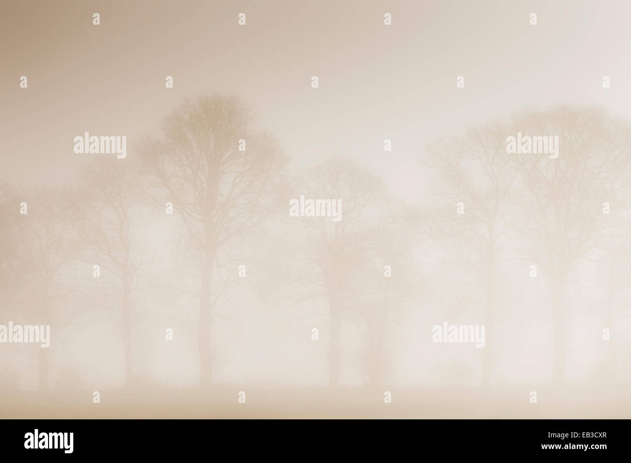 Uring hi-res stock photography and images - Alamy