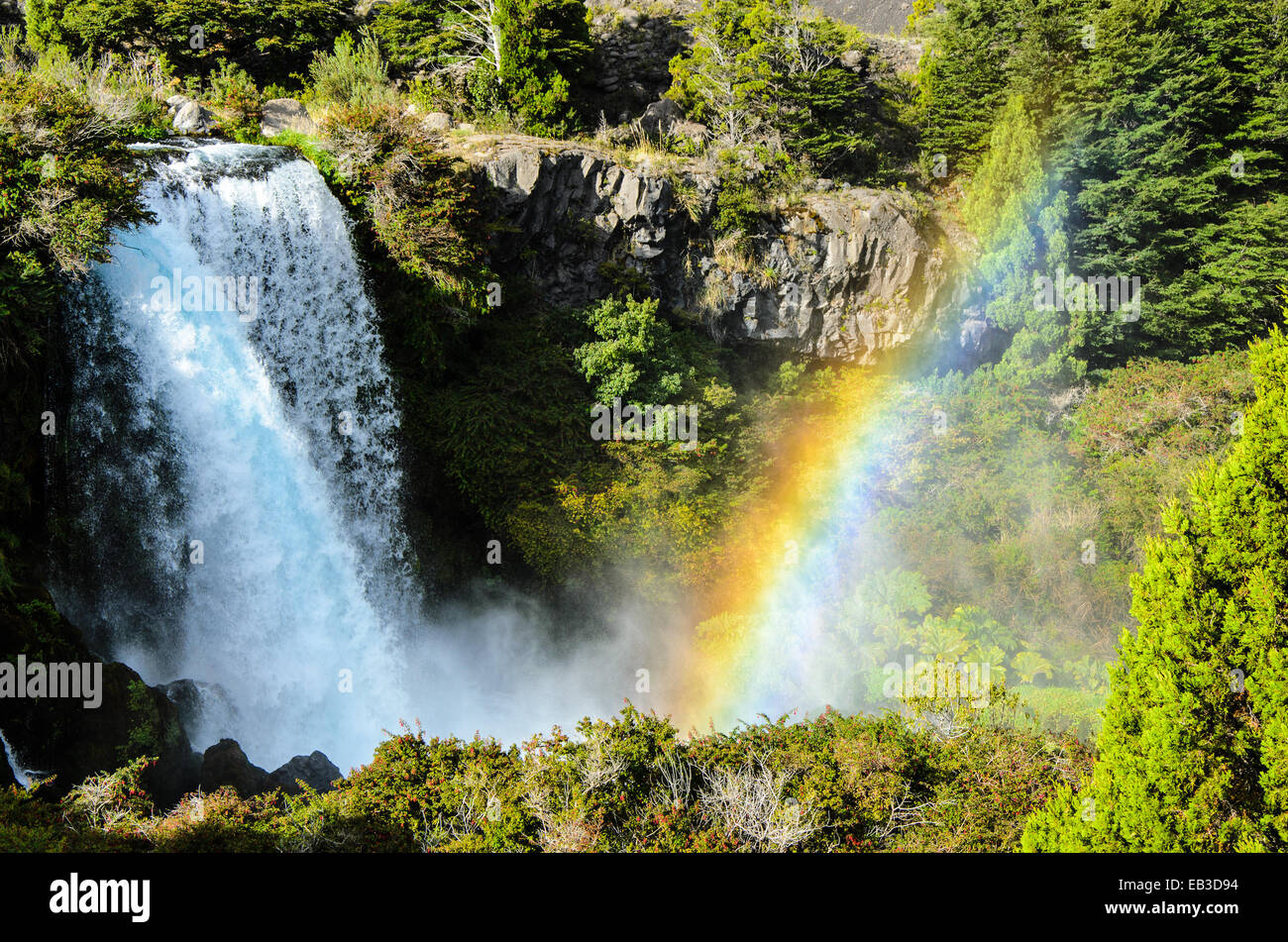 Parque nacional conguillio hi-res stock photography and images - Alamy