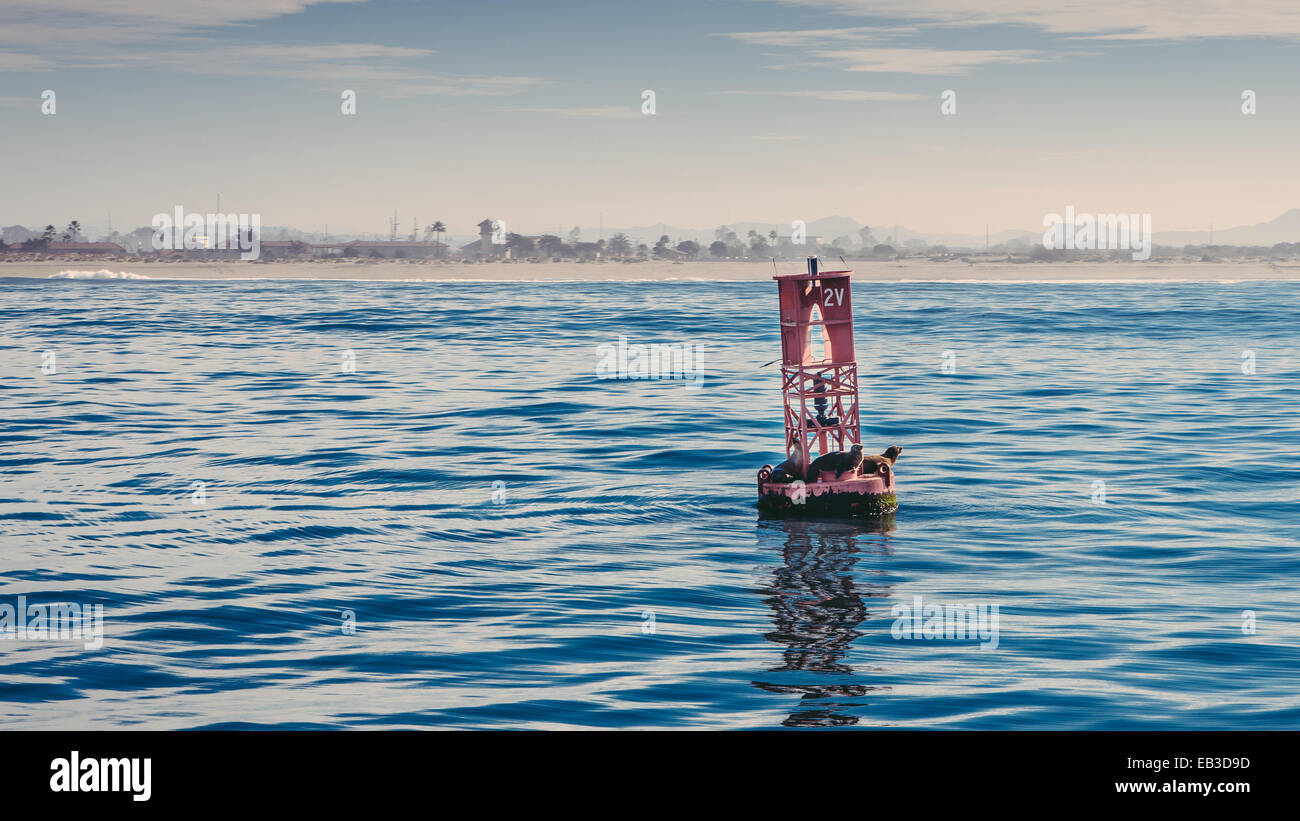 Red buoy in ocean near Ventura, Channel Islands, California, USA Stock ...