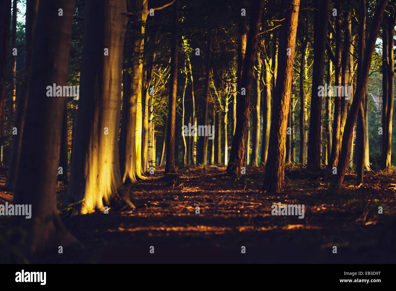 First sun hi-res stock photography and images - Alamy