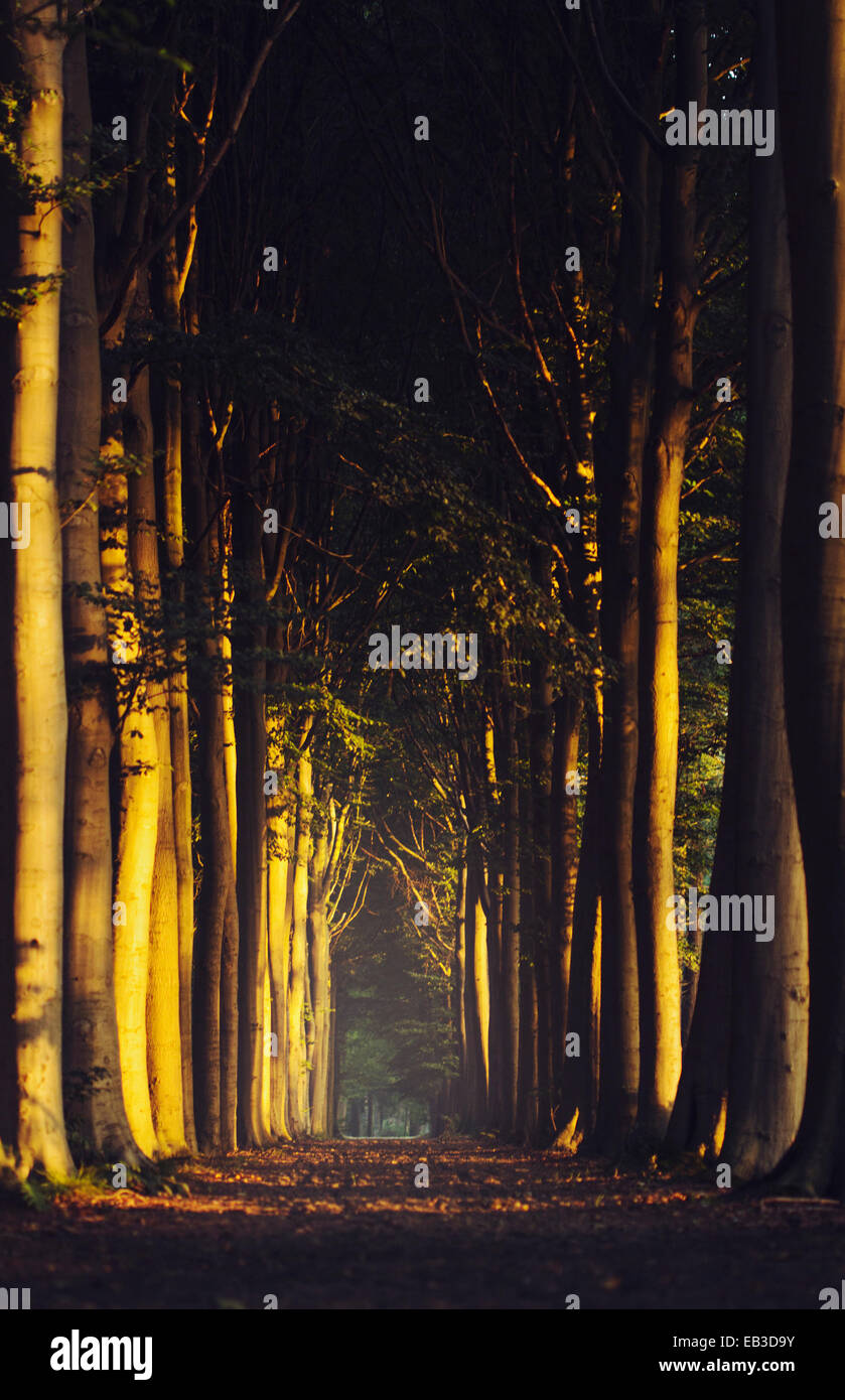 The first sun hi-res stock photography and images - Alamy