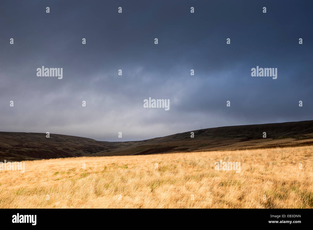 Open moorland hi-res stock photography and images - Alamy
