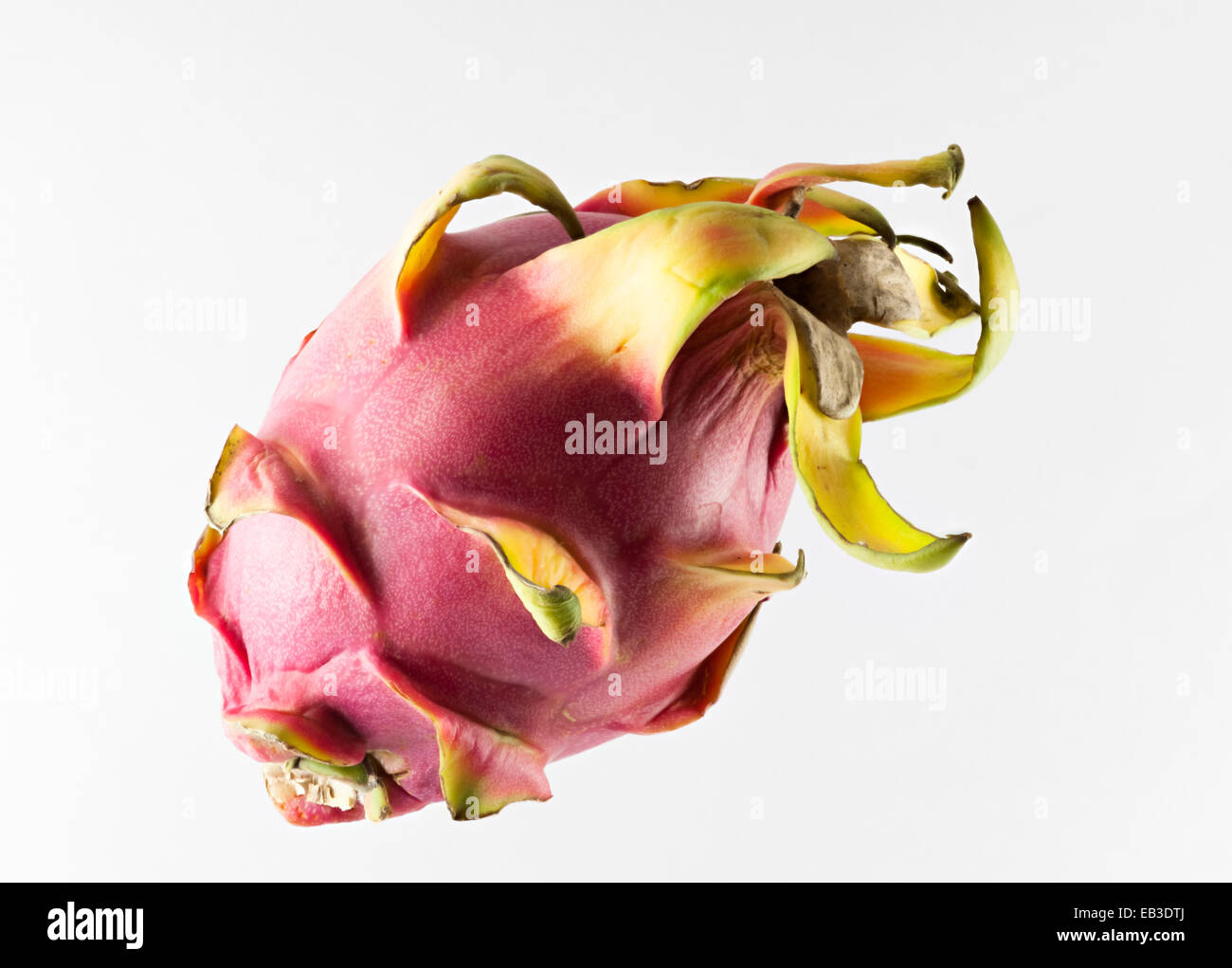 Dragon fruit, or pitahaya, a tropical fruit of the genus Hylocereus ...