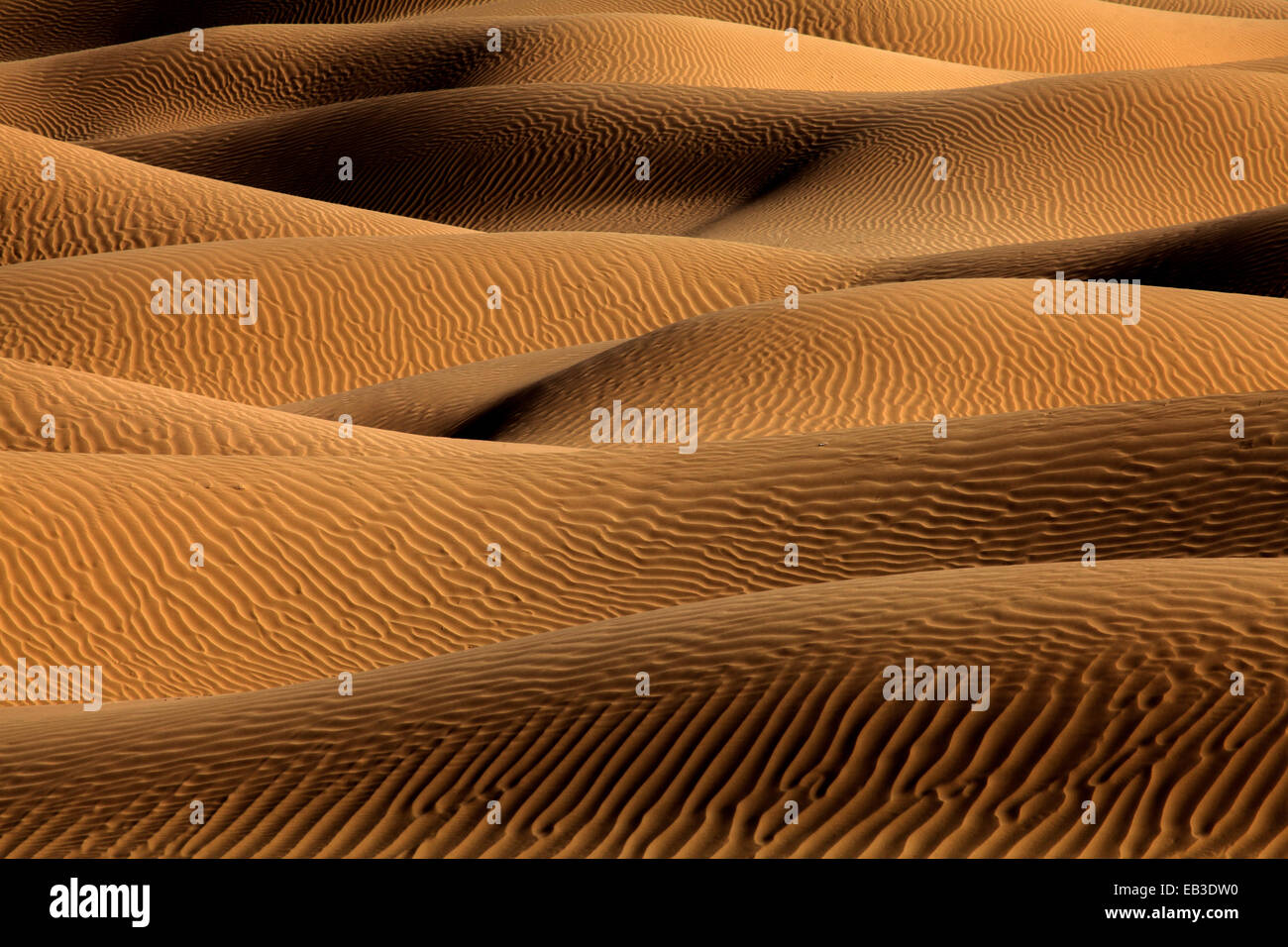 Saudi arabia desert hi-res stock photography and images - Alamy