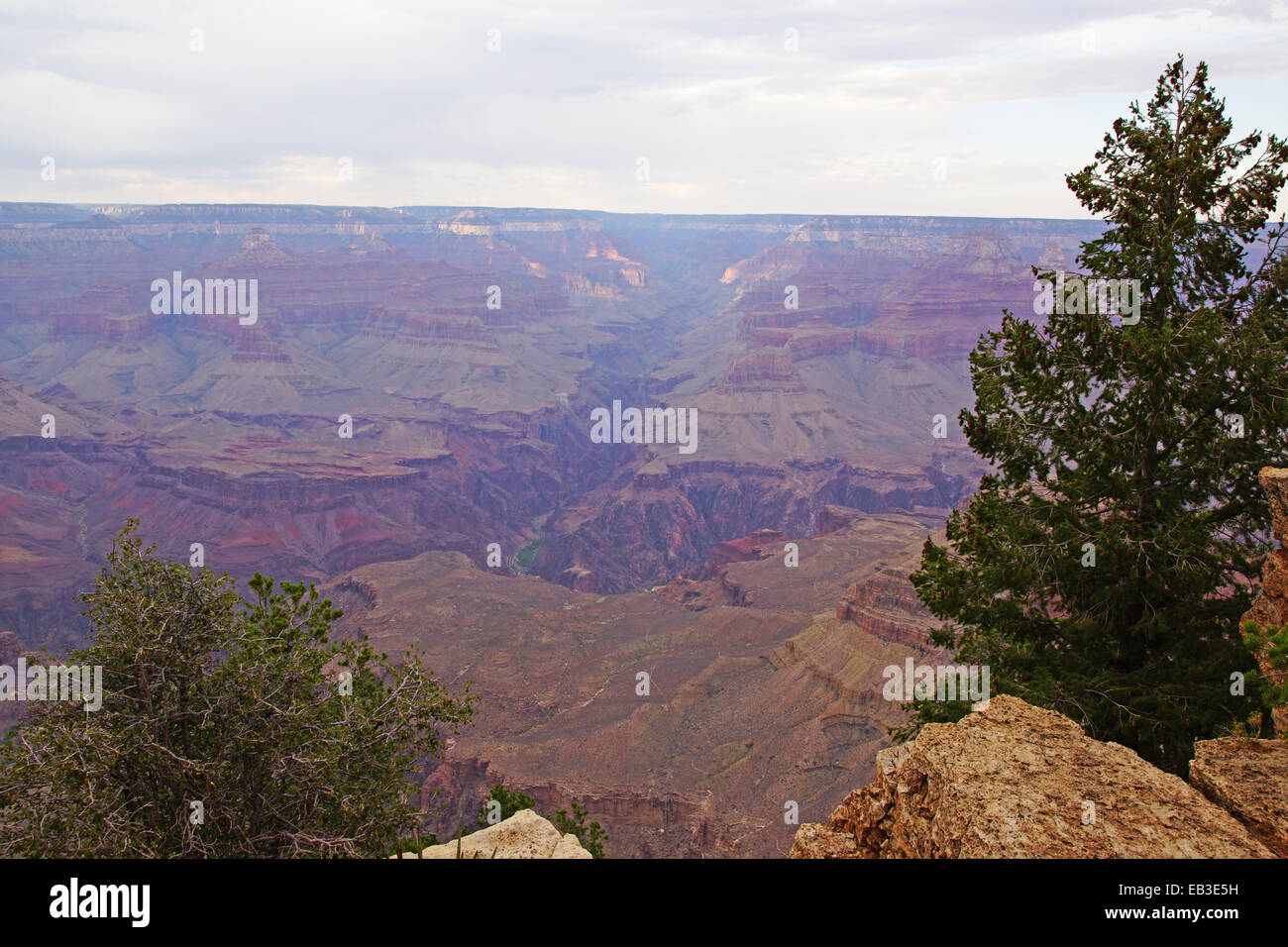 Grand Canyon Ravine Stock Photo - Alamy