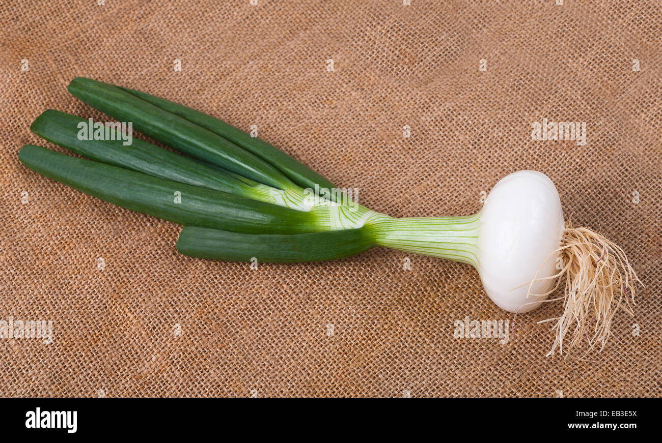 A bunch of spring onions Stock Photo - Alamy