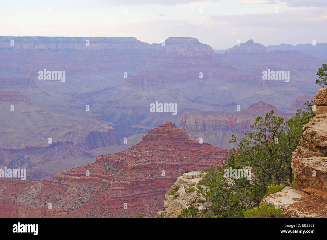 Grand Canyon Ravine Stock Photo - Alamy
