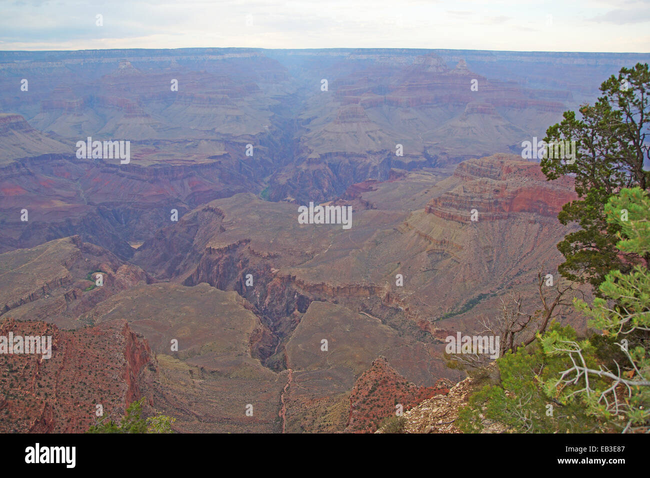 Grand Canyon Ravine Stock Photo - Alamy