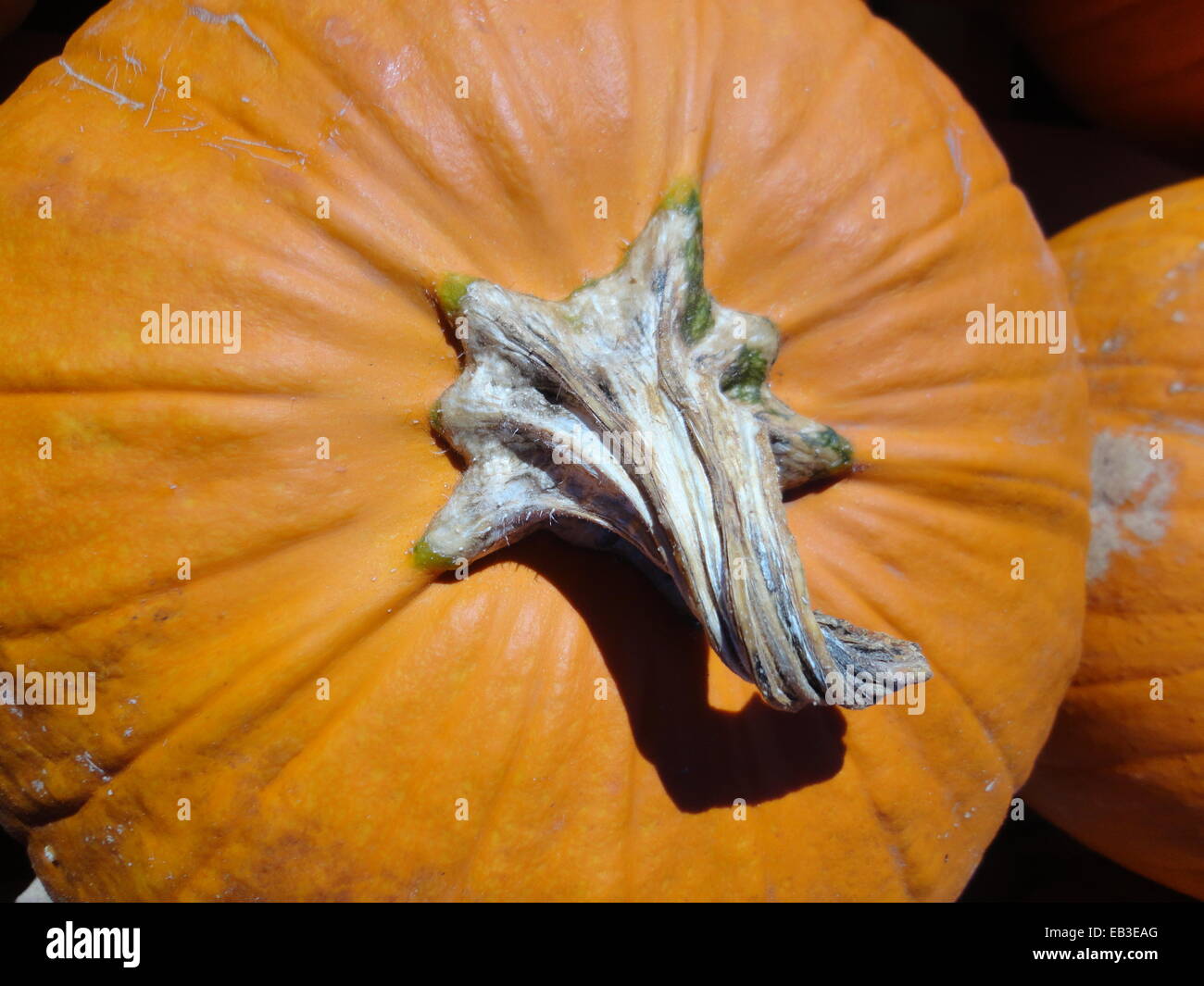 Warner county hi-res stock photography and images - Alamy