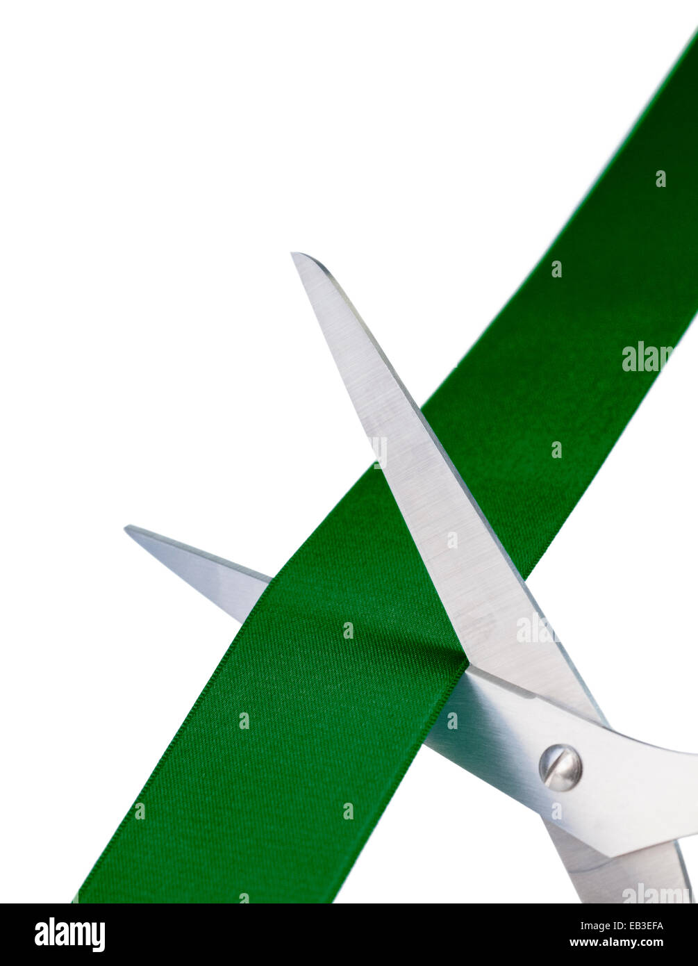 Green Ribbon Cutting Scissors