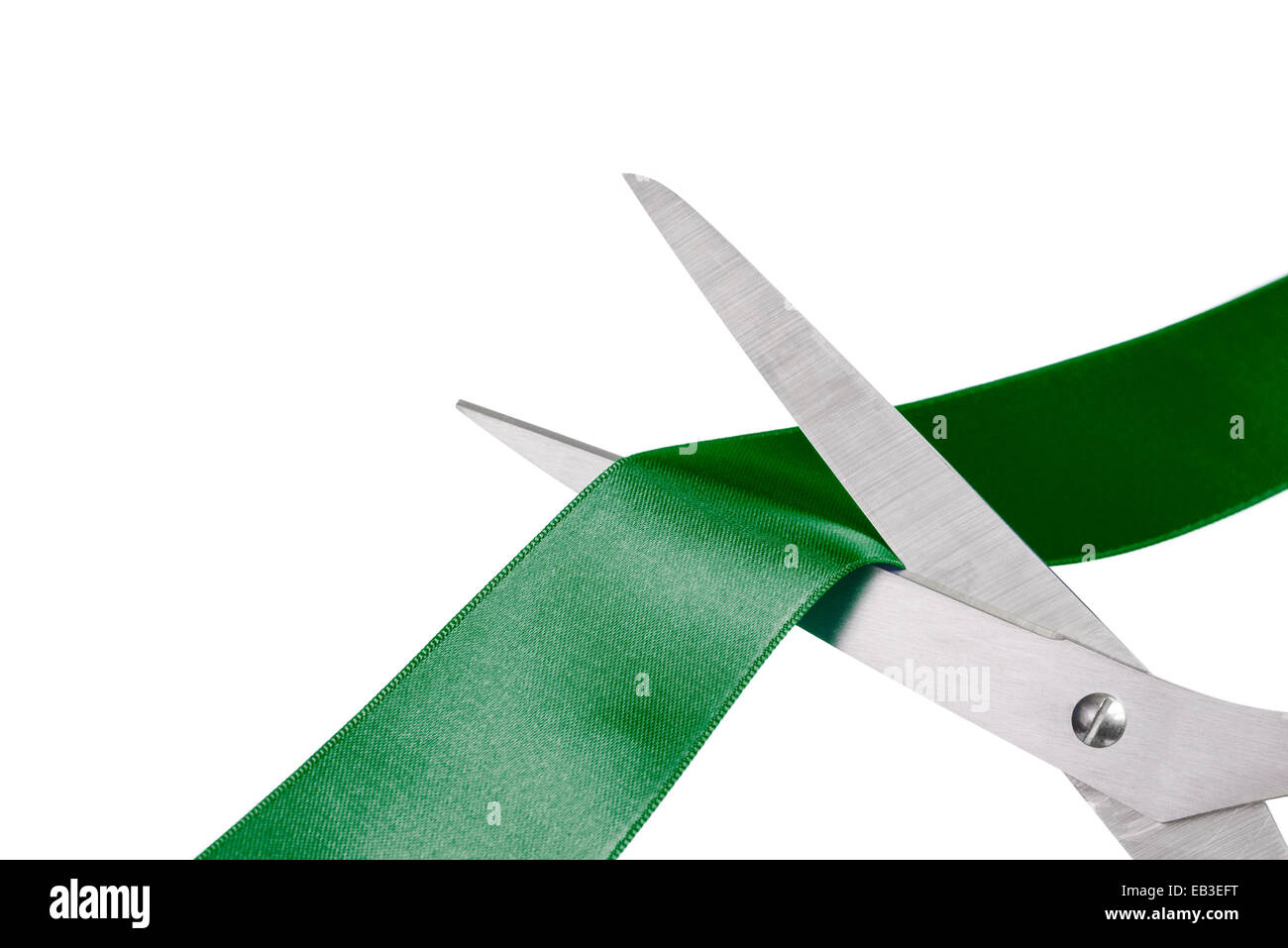 Green Ribbon Cutting Scissors