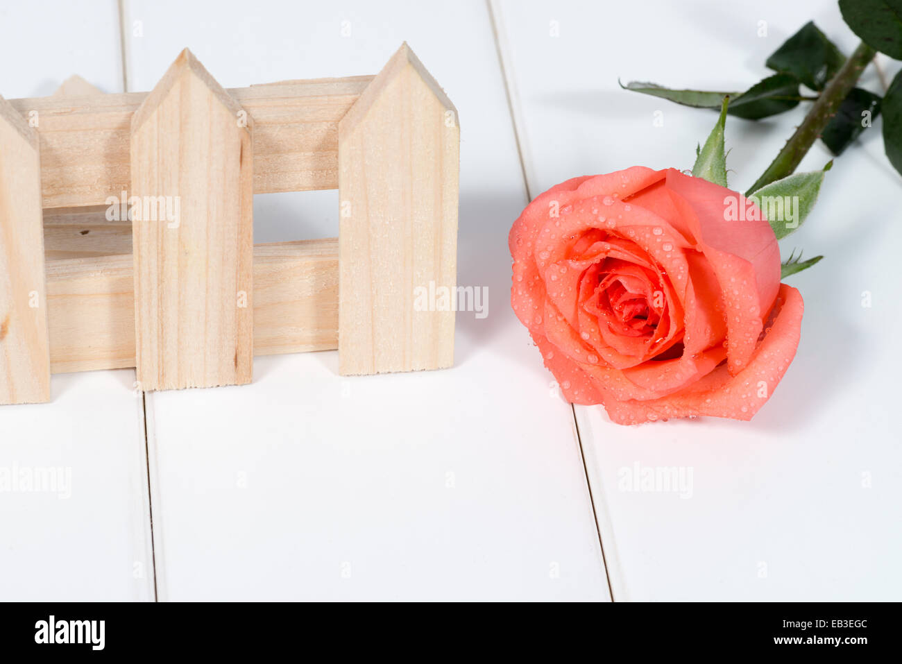 Red rose keyboard hi-res stock photography and images - Alamy