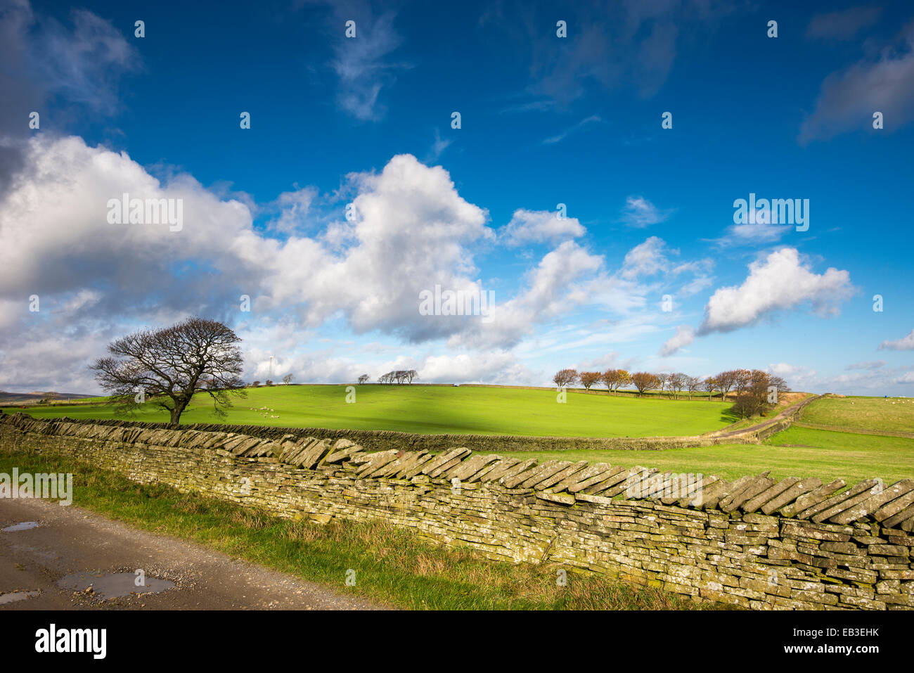 Yorkshire countryside on a beautiful, sunny day in Autumn. Fluffy ...
