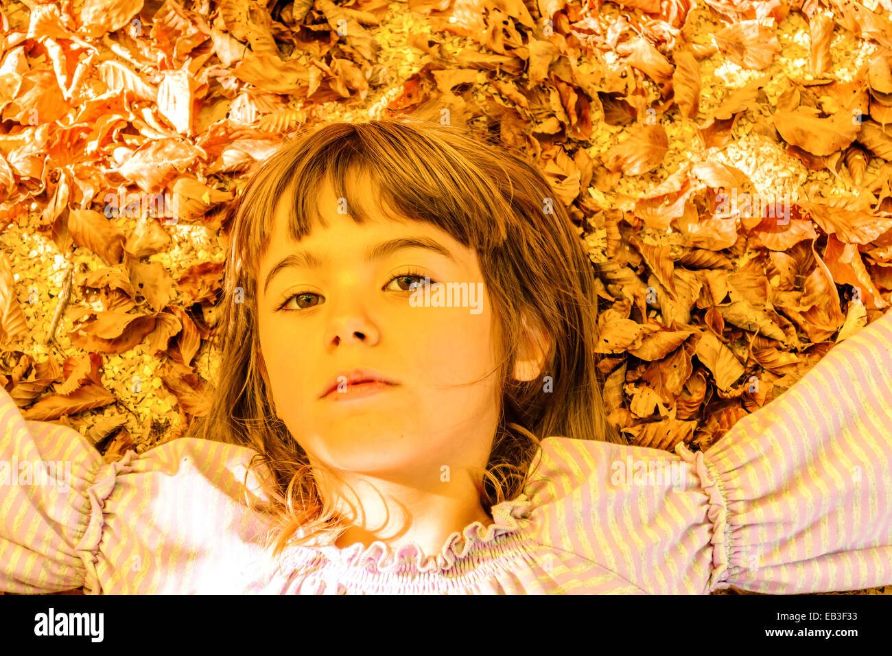 Little leaves hi-res stock photography and images - Alamy