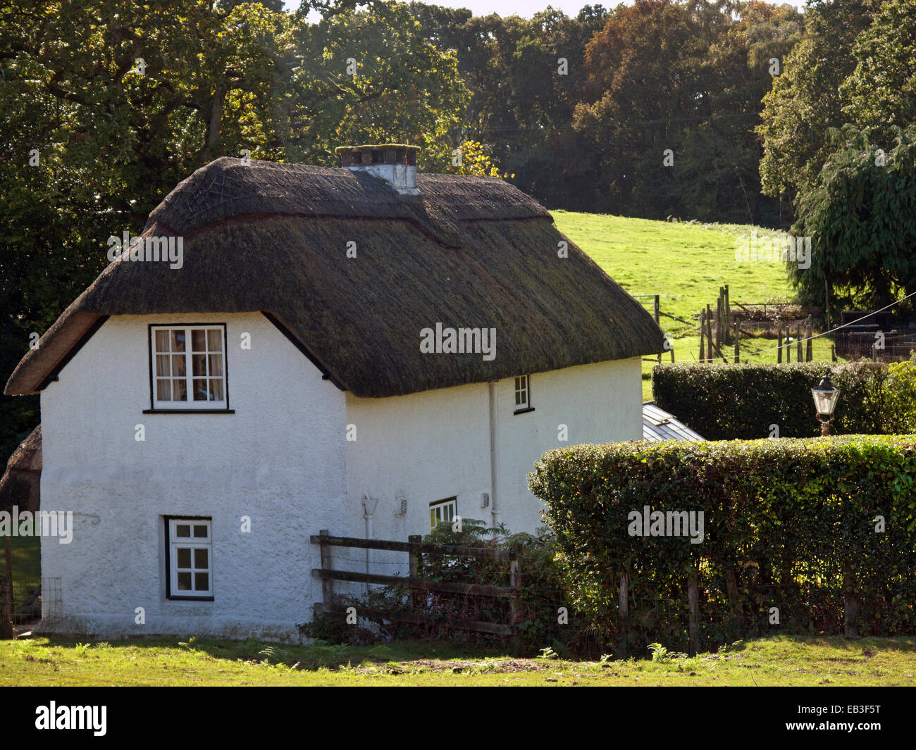 New forest thatched cottage hi-res stock photography and images - Alamy