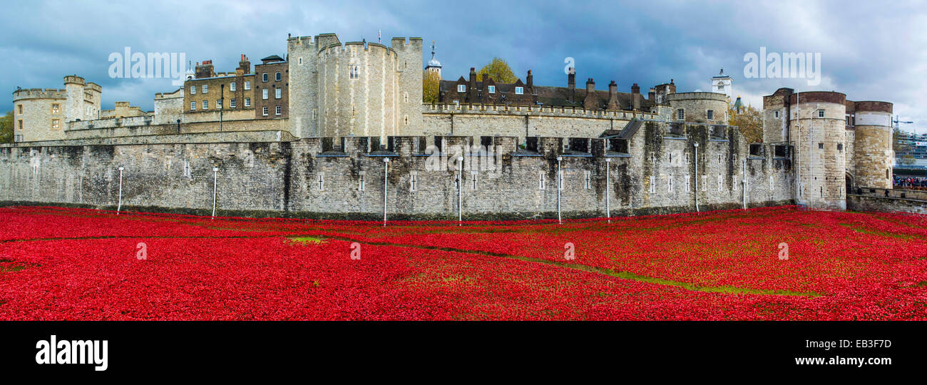 Blood Swept Lands and Seas of Red art installation at the Tower of ...