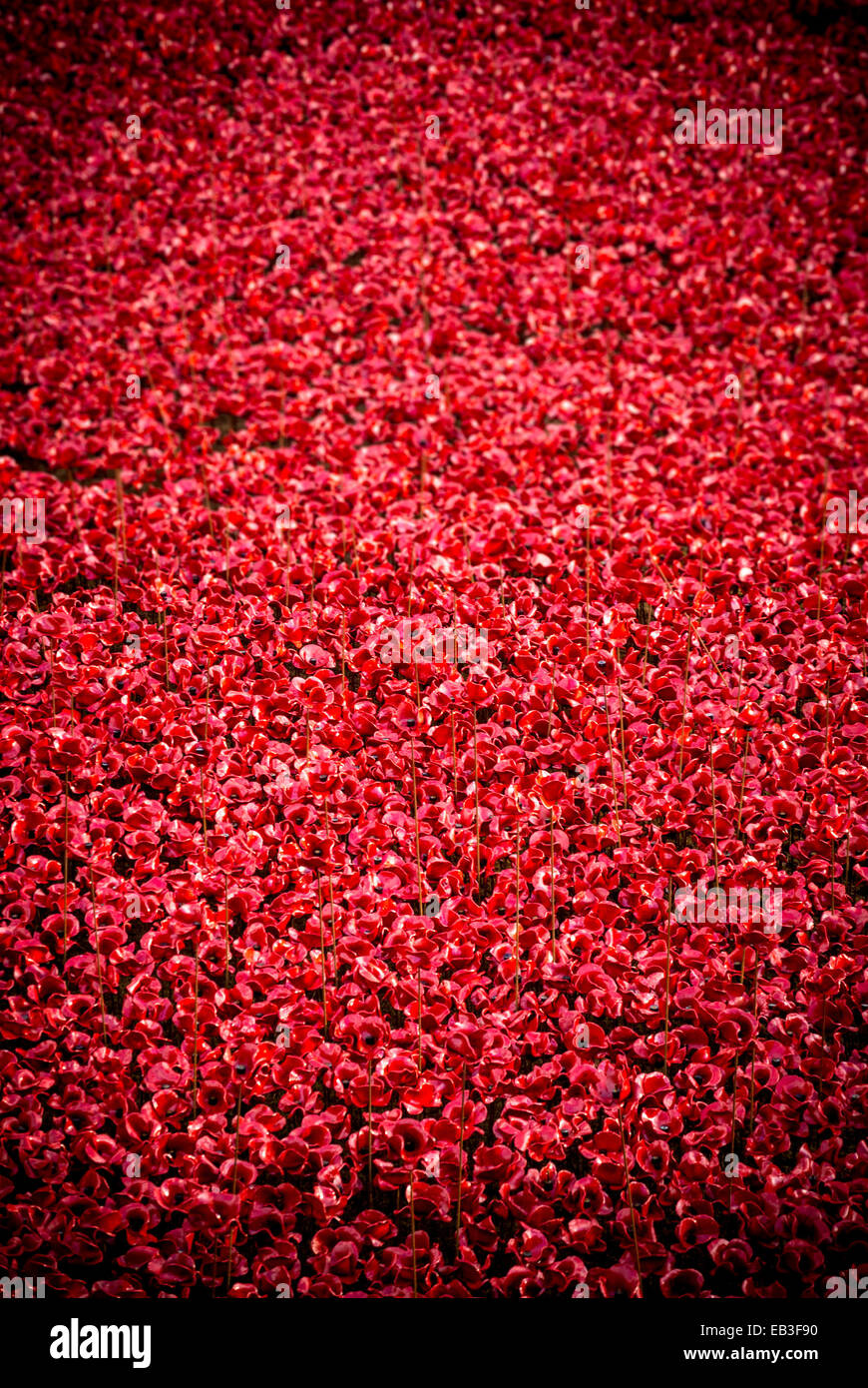 Blood Swept Lands and Seas of Red art installation at the Tower of ...