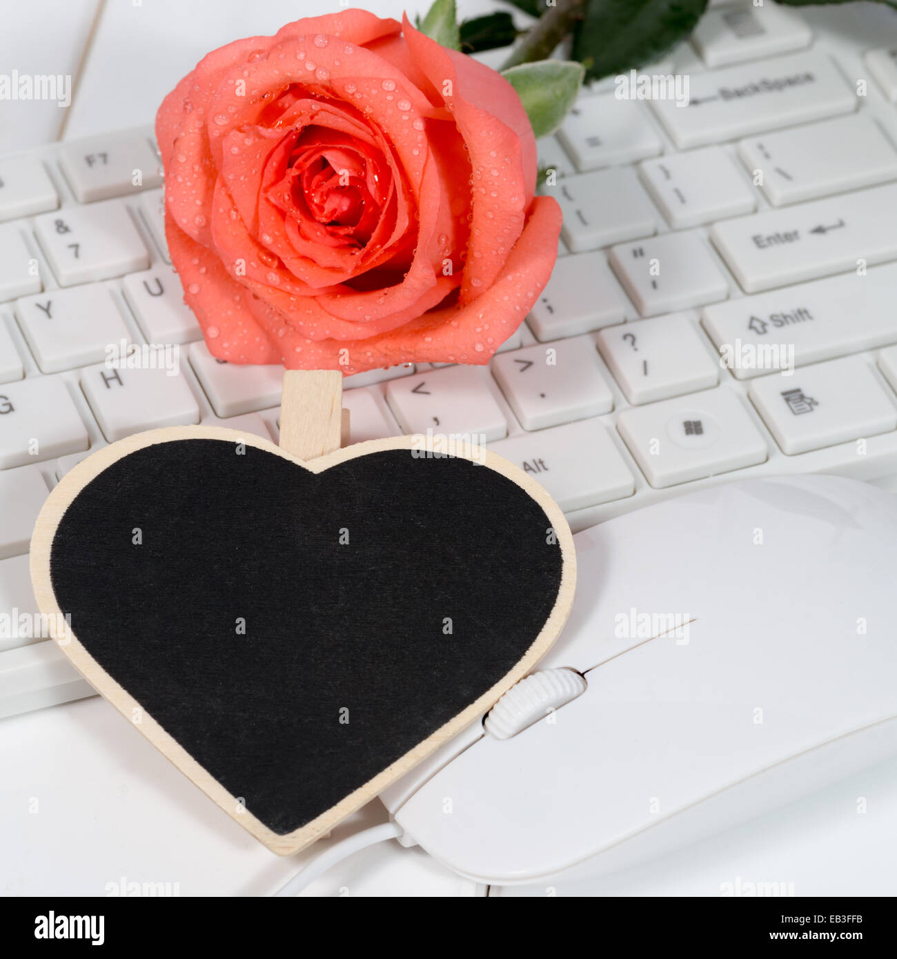 Blank Message board with lilac flower and copy space Stock Photo - Alamy