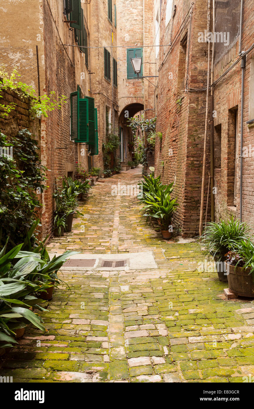 A narrow alley in Siena, Tuscany, Italy Stock Photo - Alamy