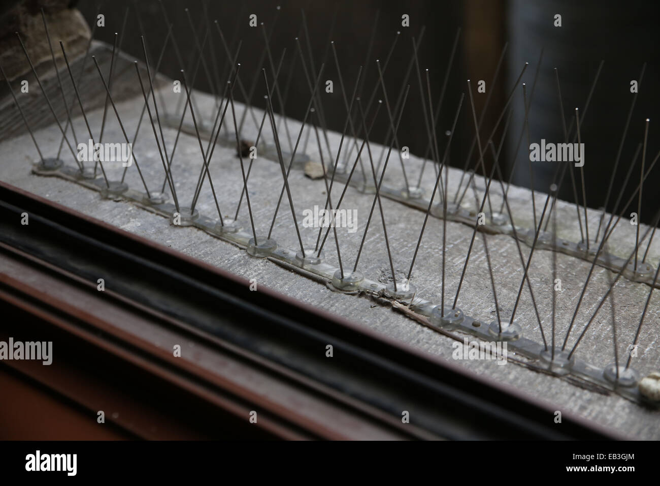 metal spikes windows europe Stock Photo - Alamy