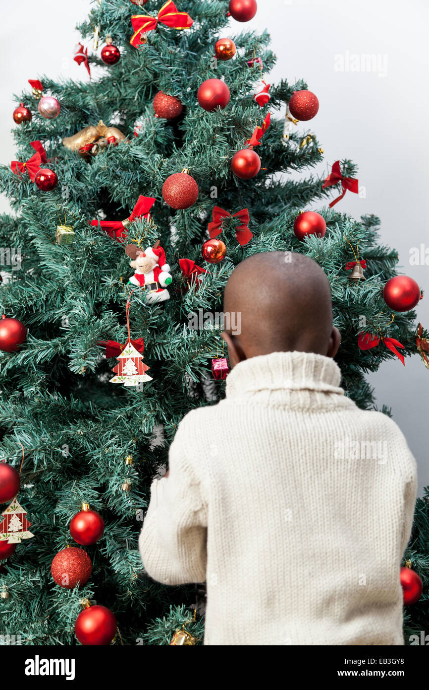 Boy decorating the christmas tree Stock Photo - Alamy