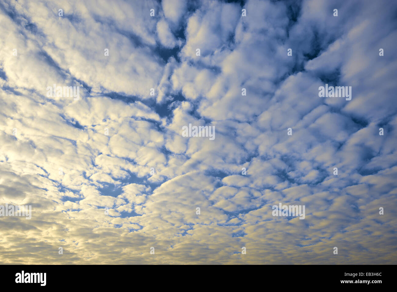 Beautiful colorful clouds on the sunset sky Stock Photo - Alamy