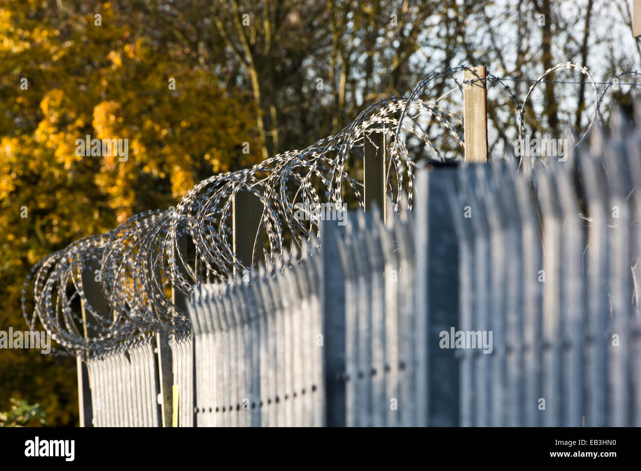 Razor wire on top of security fence Stock Photo - Alamy